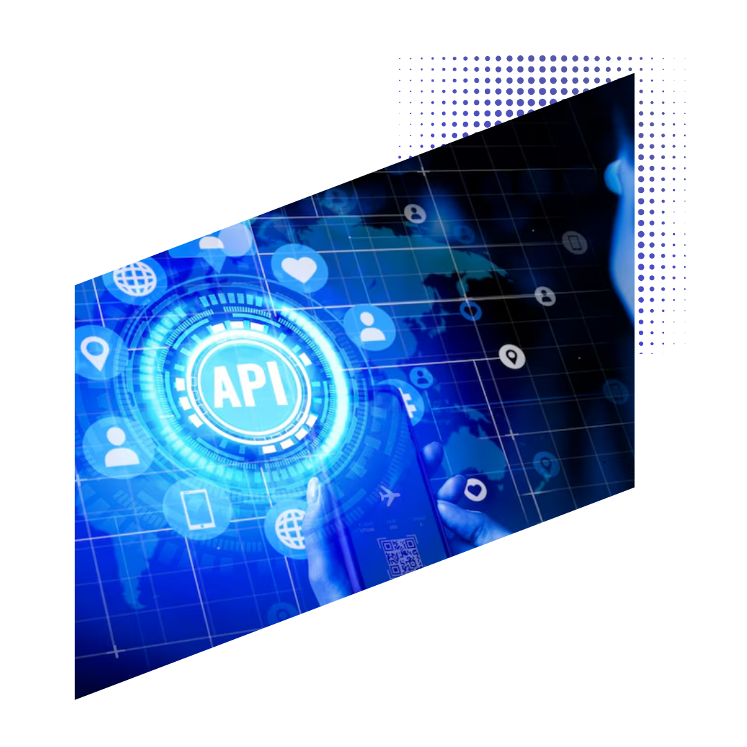 Api Security Audit 