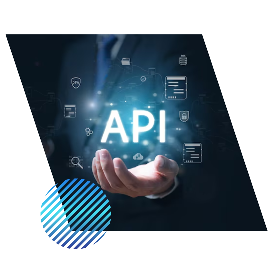 Api Security Audit